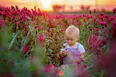 580 Botanical Baby Names